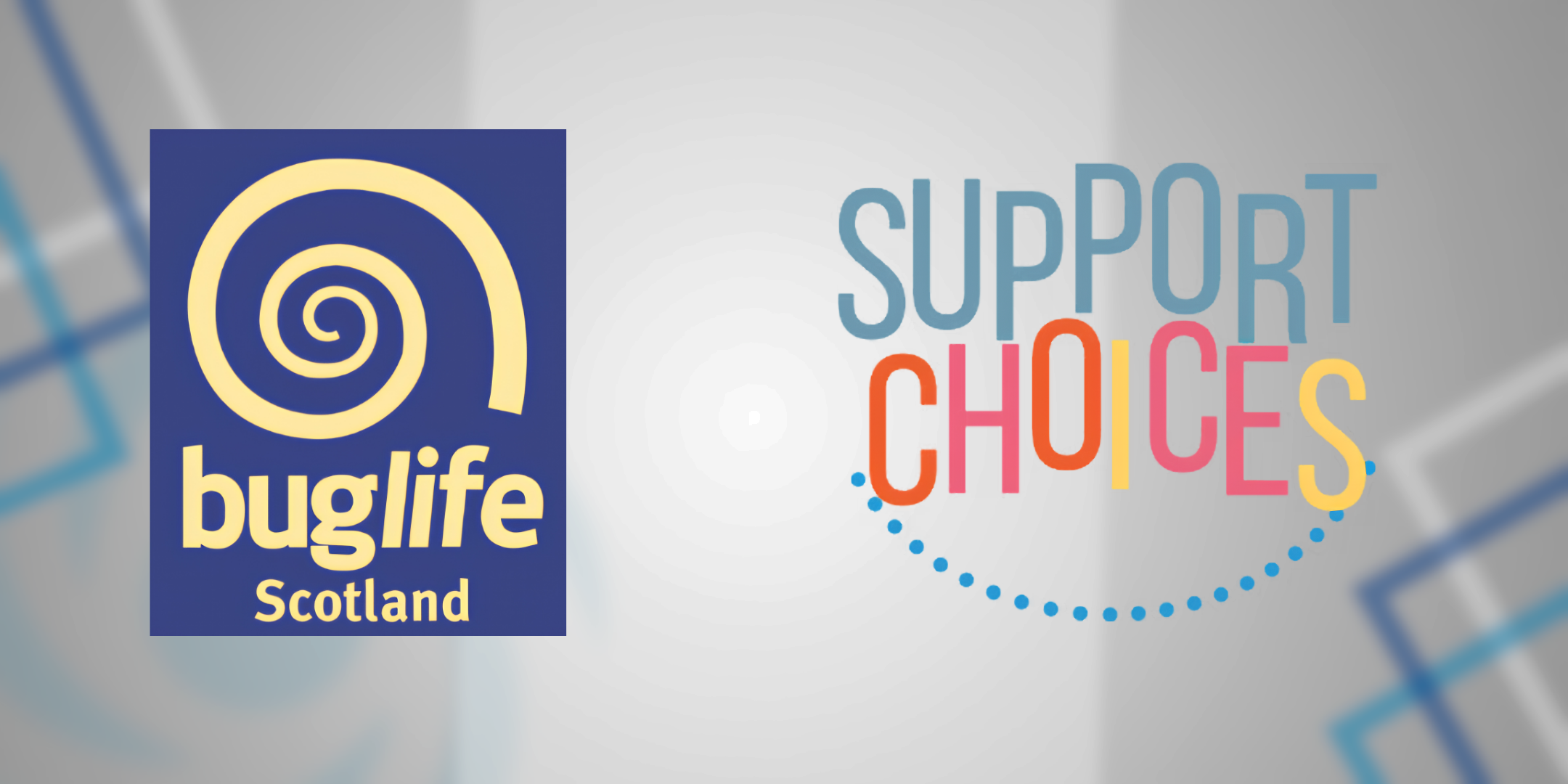 29/01/2026 Bug Life / Support Choices - TSI (Perth & Kinross)